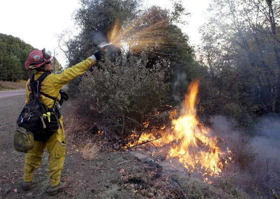 Firefighter Shoots Flares Start Start Fire Editorial Stock Photo ...