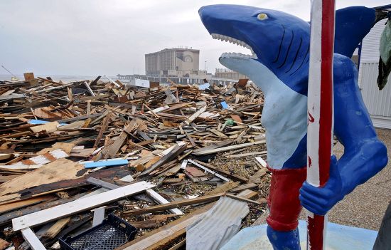 Shark Statue Stands Next Rubble What Editorial Stock Photo - Stock ...