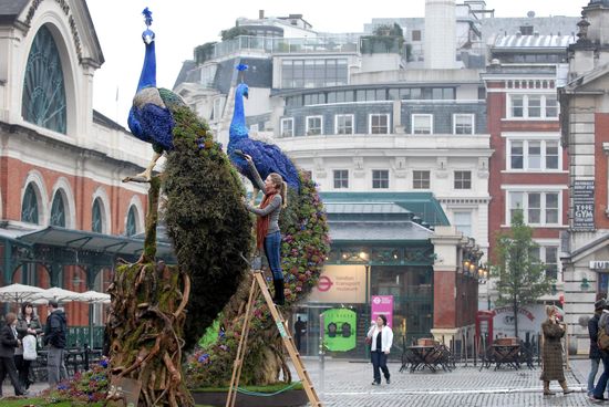 Launch Spring Renaissance Covent Garden Editorial Stock Photo - Stock ...