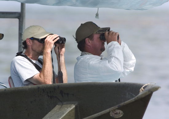 Biologists Louisiana Department Wildlife Fisheries Looks Editorial ...