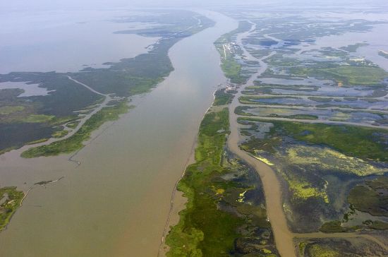 Delta Mississippi River Seen Air Near Editorial Stock Photo - Stock ...