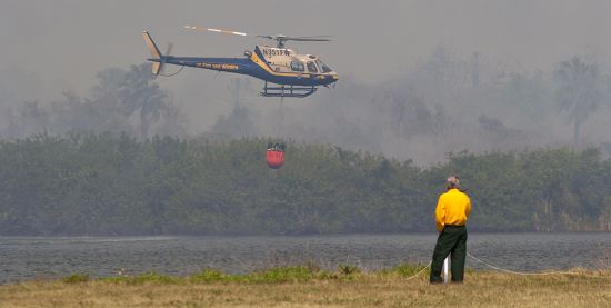 Firefighter Looks On Us Fish Wildlife Editorial Stock Photo - Stock ...