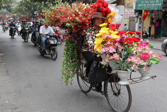Artificial Flower Street Vendor Cycles Her Editorial Stock Photo ...