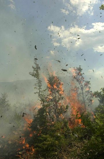 Pastrik Kosovo Yugoslavia Fire Rages Through Editorial Stock Photo ...