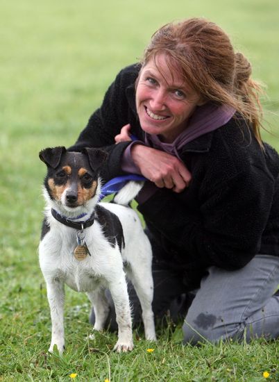 Jo Metland Jack Russell Pip Editorial Stock Photo - Stock Image ...