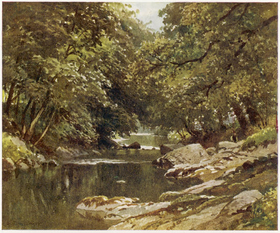 Devon Inland Scenery Tavy River Near Editorial Stock Photo - Stock ...