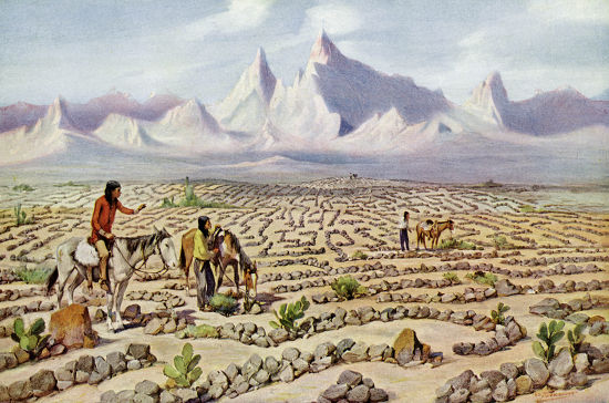 Mystic Maze Native American Mojave People Editorial Stock Photo - Stock ...