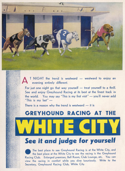 Advert White City Greyhound Racing Stadium Editorial Stock Photo ...
