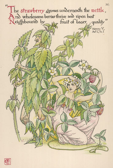 Fragaria Nettle Strawberry Personified 1906 Editorial Stock Photo ...