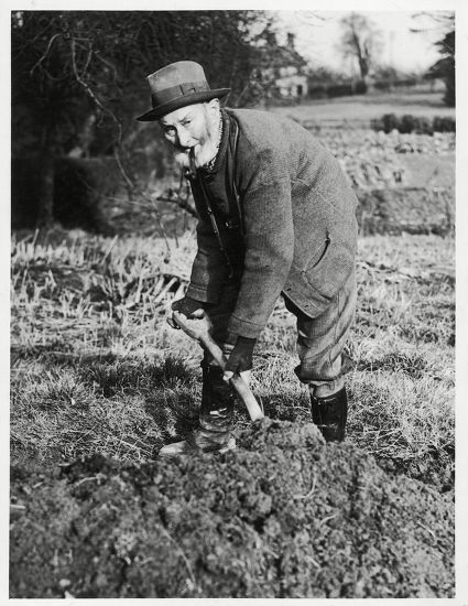 Countryman Digging Circa 1930 Editorial Stock Photo - Stock Image ...