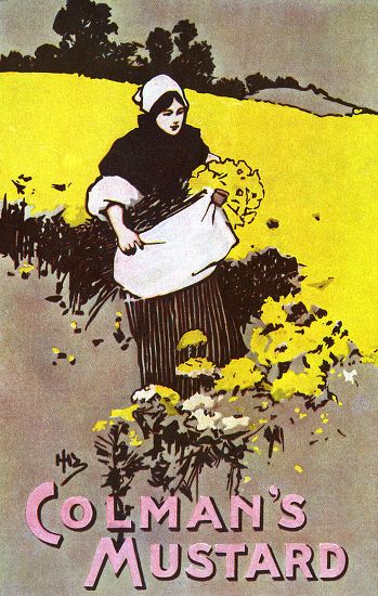 Mustard Field Poster Colmans Mustard 1890s Editorial Stock Photo ...