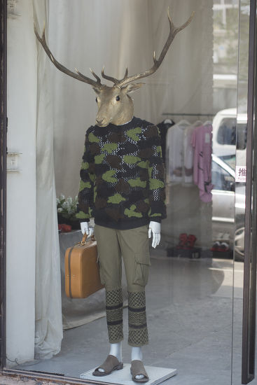 Showroom Dummy Head Deer Installed Window Editorial Stock Photo - Stock ...