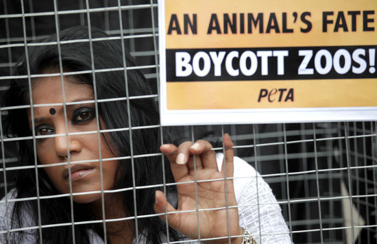 Activist People Ethical Treatment Animals Peta Editorial Stock Photo - Stock Image | Shutterstock