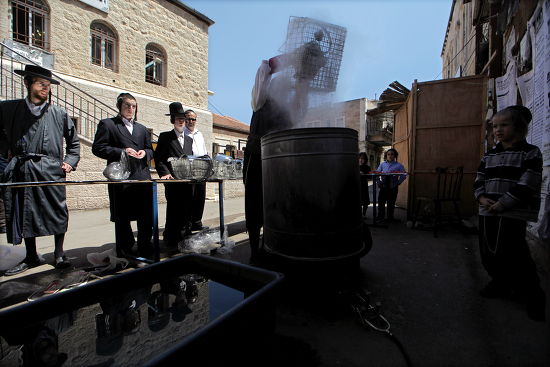 Ultraorthodox Jewish Man Dips Cooking Pots Editorial Stock Photo ...