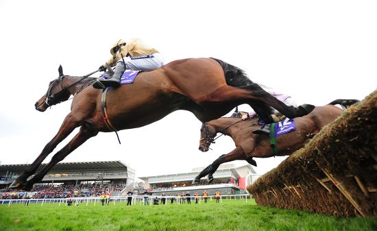 Leopardstown Battleford Ruby Walsh Win Guinness Editorial Stock Photo ...