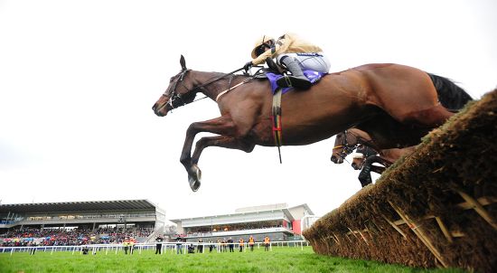 Leopardstown Battleford Ruby Walsh Win Guinness Editorial Stock Photo ...