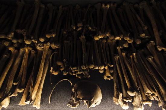 Bones Skull Victims 1994 Genocide Rwanda Editorial Stock Photo - Stock ...