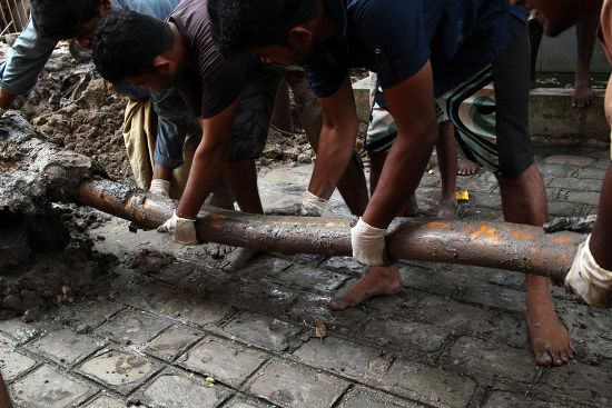 Workers Remove Clean Tusks Exhumed Skull Editorial Stock Photo - Stock ...