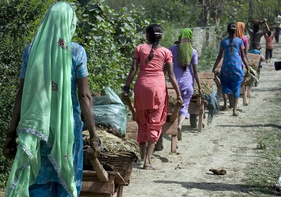 Indian Women Carry Cow Dung On Editorial Stock Photo - Stock Image ...