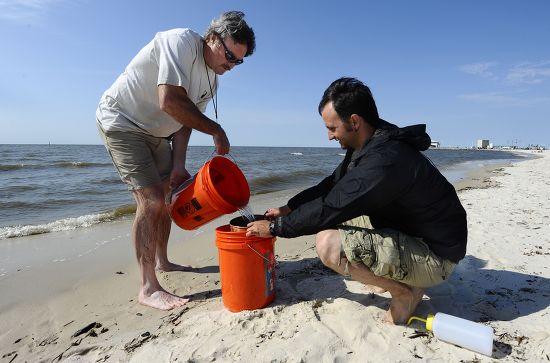 Sam Mccord L Pores Water Over Editorial Stock Photo - Stock Image ...