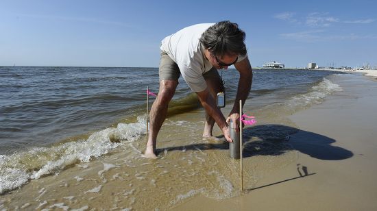 Sam Mccord Takes Sand Sample While Editorial Stock Photo - Stock Image ...
