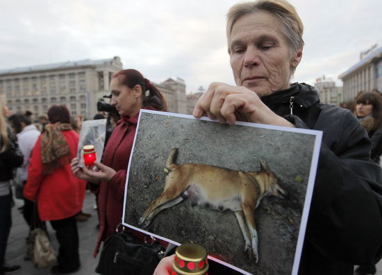 Ukrainian Woman Weeps She Holds Photo Editorial Stock Photo - Stock ... Ukrainian Woman Weeps She Holds Photo Editorial Stock Photo - Stock ...