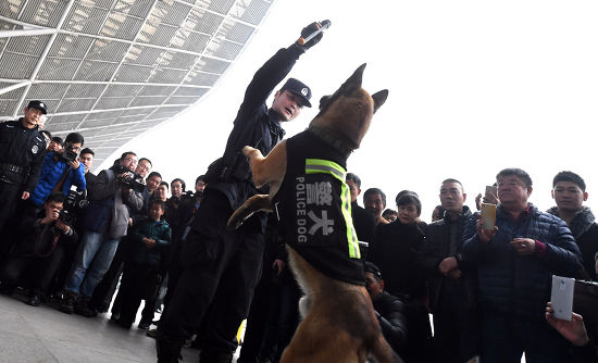 Policeman Shows How Police Dogs Work Editorial Stock Photo - Stock ...