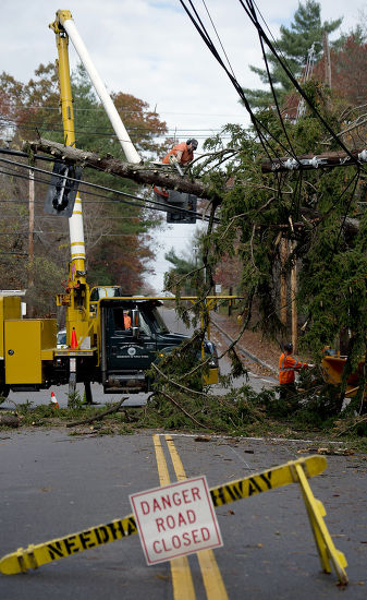 Needham Public Works Crews Remove Large Editorial Stock Photo - Stock ...