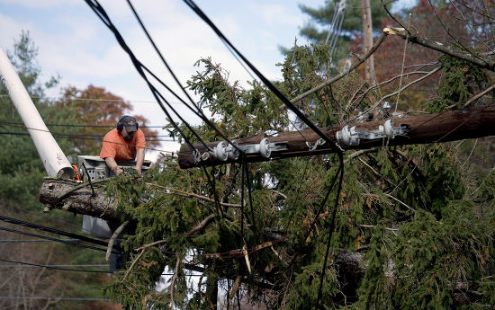 Needham Public Works Crews Remove Large Editorial Stock Photo - Stock ...