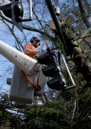 Needham Public Works Crews Remove Large Editorial Stock Photo - Stock ...