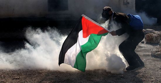Palestinian Demonstrator Wearing Gas Mask Holds Editorial Stock Photo ...