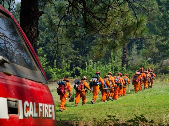 Cal Fire Inmate Crew Departs On Editorial Stock Photo - Stock Image ...