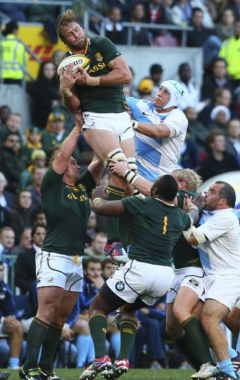 Springbok Lock Andries Bekker Ltop Takes Editorial Stock Photo - Stock ...