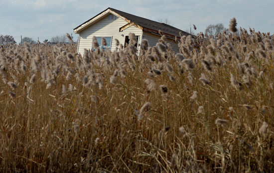View Remains House Marsh People Area Editorial Stock Photo - Stock ...