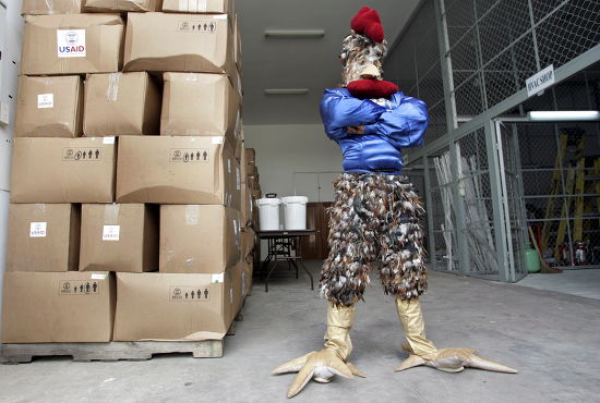 Cambodian Man Dressed Super Chicken Stands Editorial Stock Photo ...