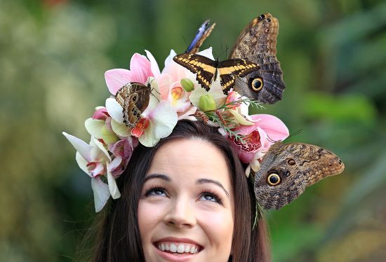Model Jessie May Smart Pictured Wearing Editorial Stock Photo - Stock ...