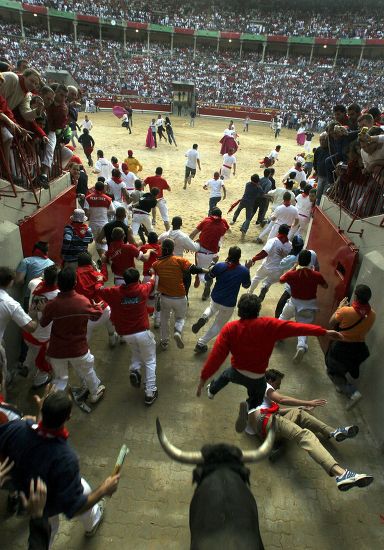 Fighting Bulls Miura Ranch Charge Through Editorial Stock Photo - Stock ...