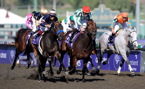 Muhannak Jockey Patrick Smullen Aboard C Editorial Stock Photo - Stock ...