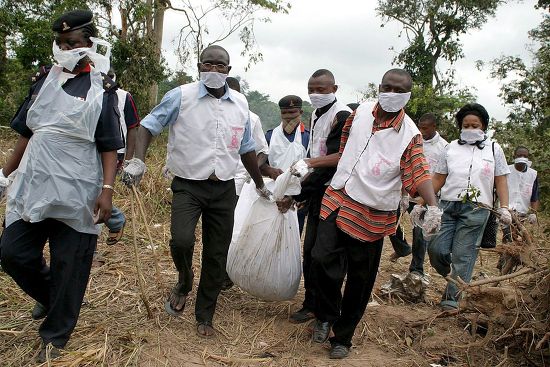 Nigerian Rescue Workers Remove Body Parts Editorial Stock Photo - Stock ...