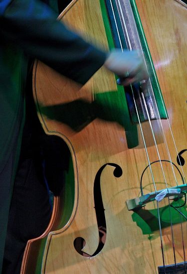 Corcoran Holt Plays Bass During Performance Editorial Stock Photo ...