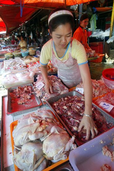Thai Vendor Arranges Chicken Customer Klong Editorial Stock Photo ...