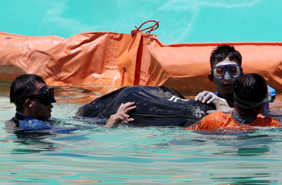 Filipino Rescuers Retrieve Body Near Sunken Editorial Stock Photo ...