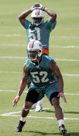 Miami Dolphins Rookie Linebacker Channing Crowder Editorial Stock Photo ...