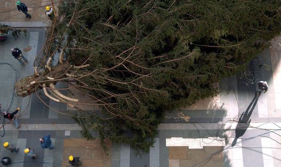 2003 Rockefeller Center Christmas Tree Lifted Editorial Stock Photo ...