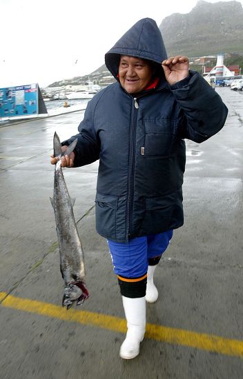 South African Woman Carries Cape Snoek Editorial Stock Photo - Stock ...