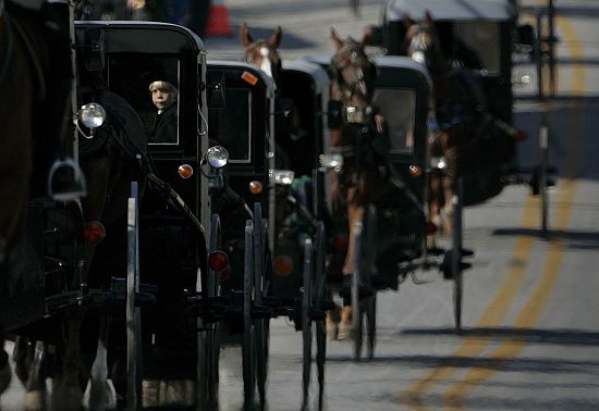 Amish Boy Rides Buggy Funeral Procession Editorial Stock Photo - Stock ...