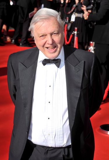 British Tv Presenter David Attenborough Arrives Editorial Stock Photo ...
