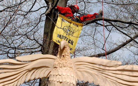 Greenpeace Activist Sits Tree Supporting Large Editorial Stock Photo ...
