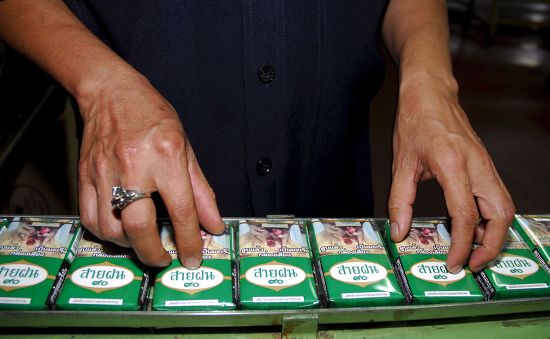 Thai Tobacco Factory Worker Thailands Tobacco Editorial Stock Photo ...