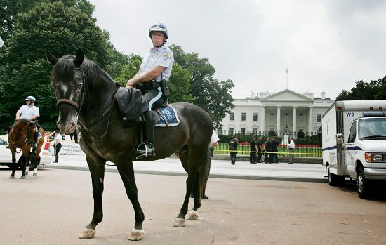 United States Park Police Mounted Officer Editorial Stock Photo - Stock ...